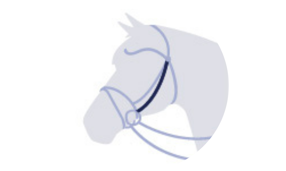 Conseils d'expert pour choisir votre mors | Mors & More