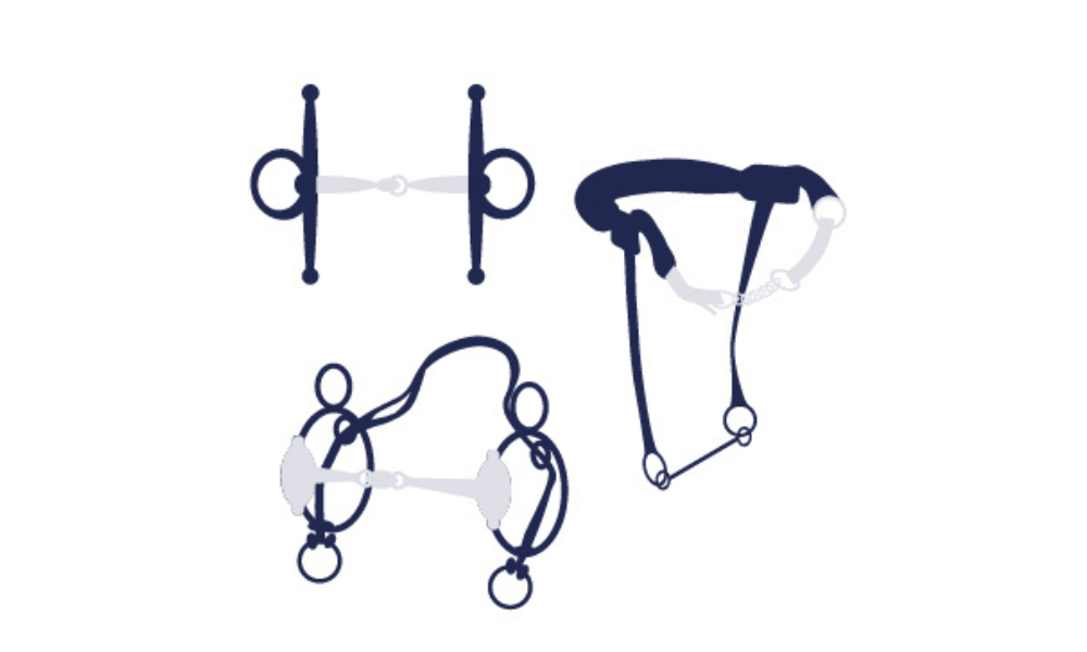 Conseils d'expert pour choisir votre mors | Mors & More